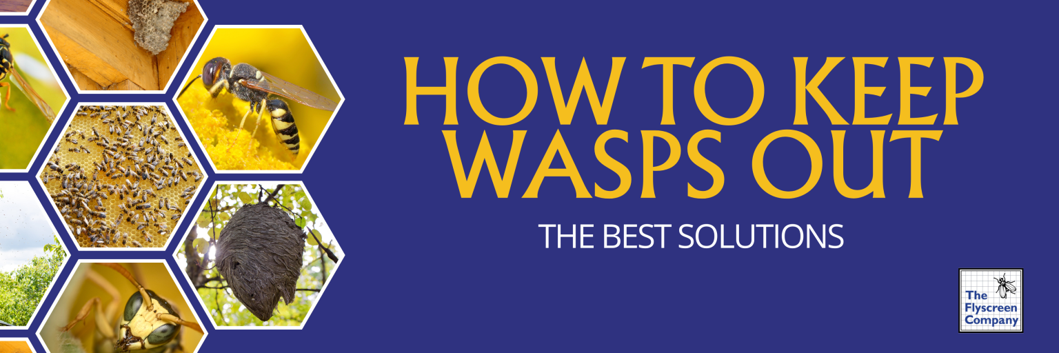 Wasps - 6 Simple Ways To Keep Them Out - The Flyscreen Co